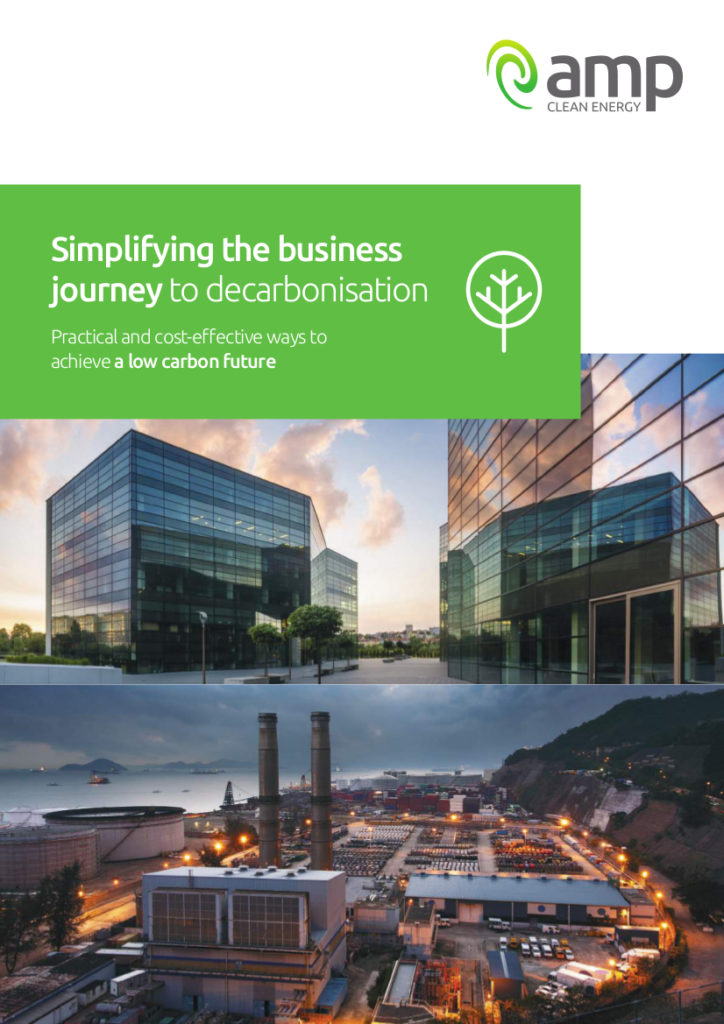 Businesses must find practical paths to decarbonisation - theenergyst.com