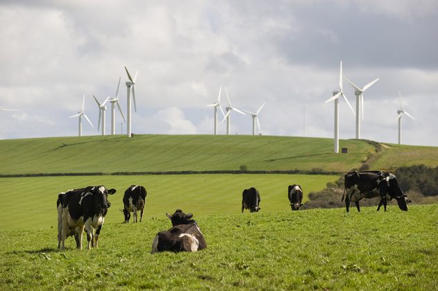 Official stats show renewables generated over half UK’s electricity in ...
