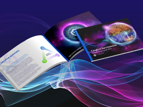 GridBeyond releases Global Energy Trends 2026 report - theenergyst.com